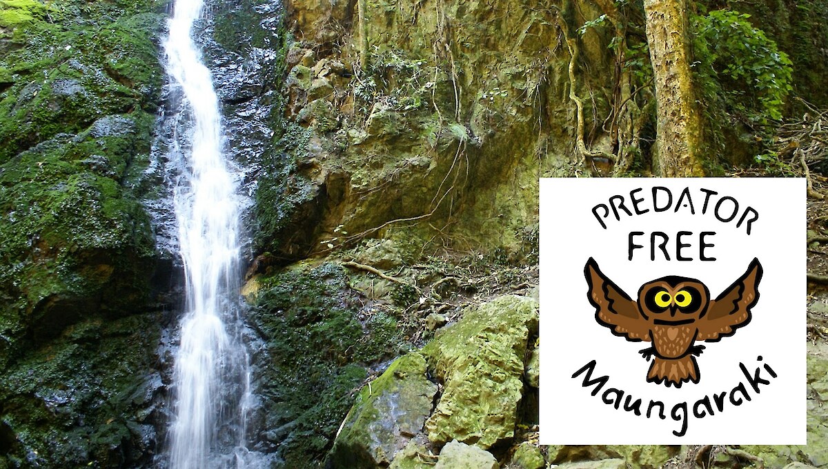 Predator Free Maungaraki • Predator Free Hutt Valley