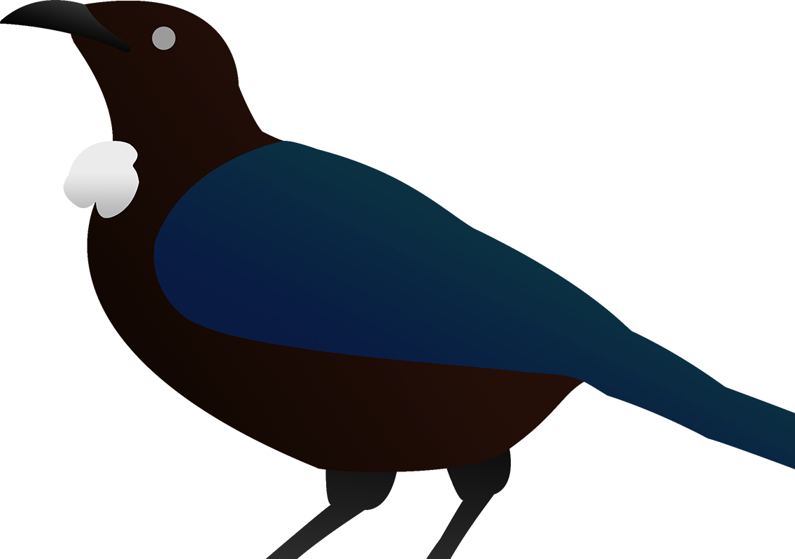 Tui Bird Clipart Template